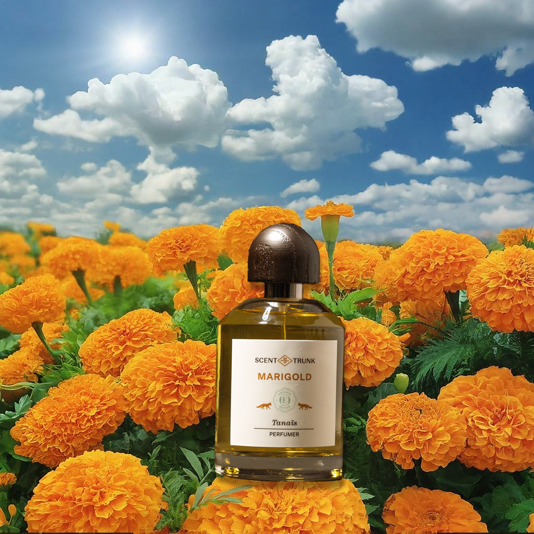 Marigold – Scent Trunk